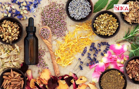 Naturopathy- 10 Natural ways to heal your body & Benefits of Naturopathy